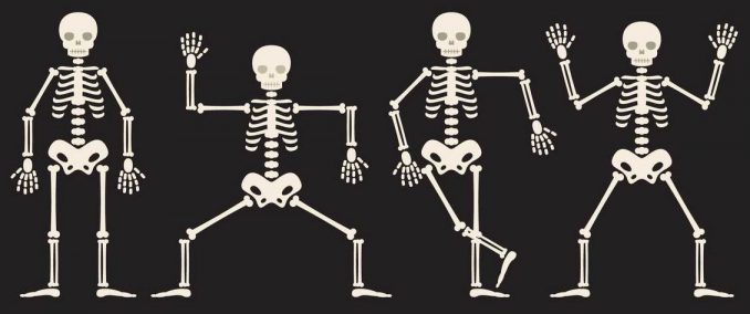 QUIZ ORGAANSTELSELS – Hilmar Derksen