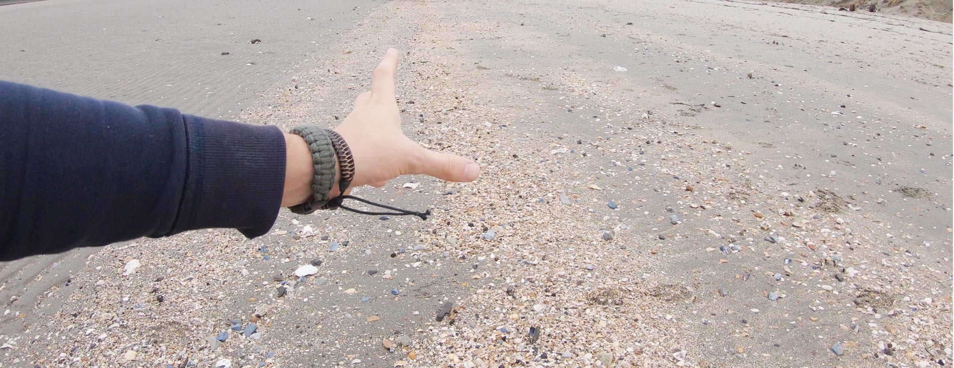 FOSSIELE HAAIENTANDEN ZOEKEN IN CADZAND – Hilmar Derksen