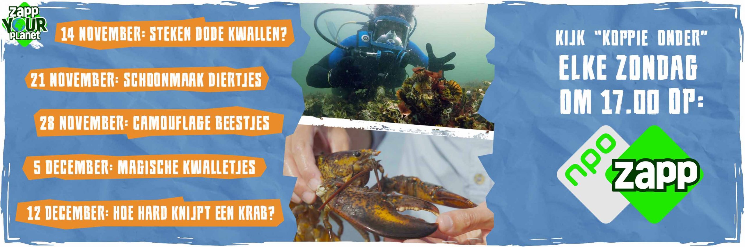 ZAPP YOUR PLANET | KOPPIE ONDER – Hilmar Derksen